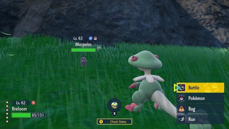 How to Get Morpeko in Pokemon Scarlet and Violet - Prima Games