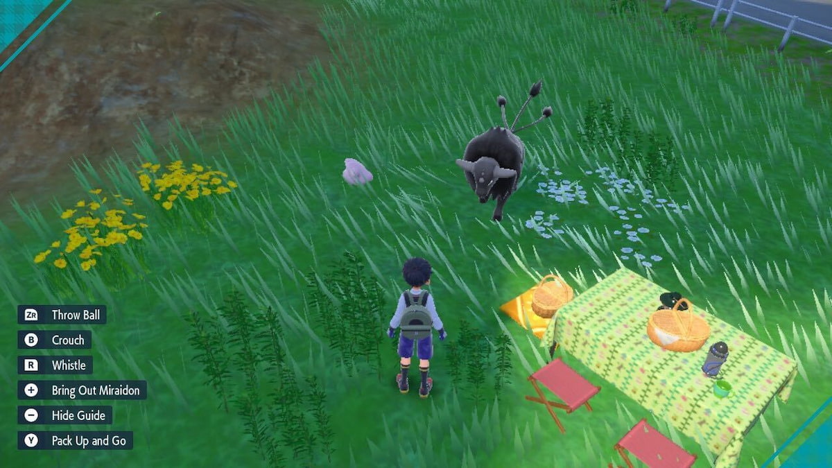 How to Get Kantonian Tauros in Pokemon Scarlet and Violet - Prima Games