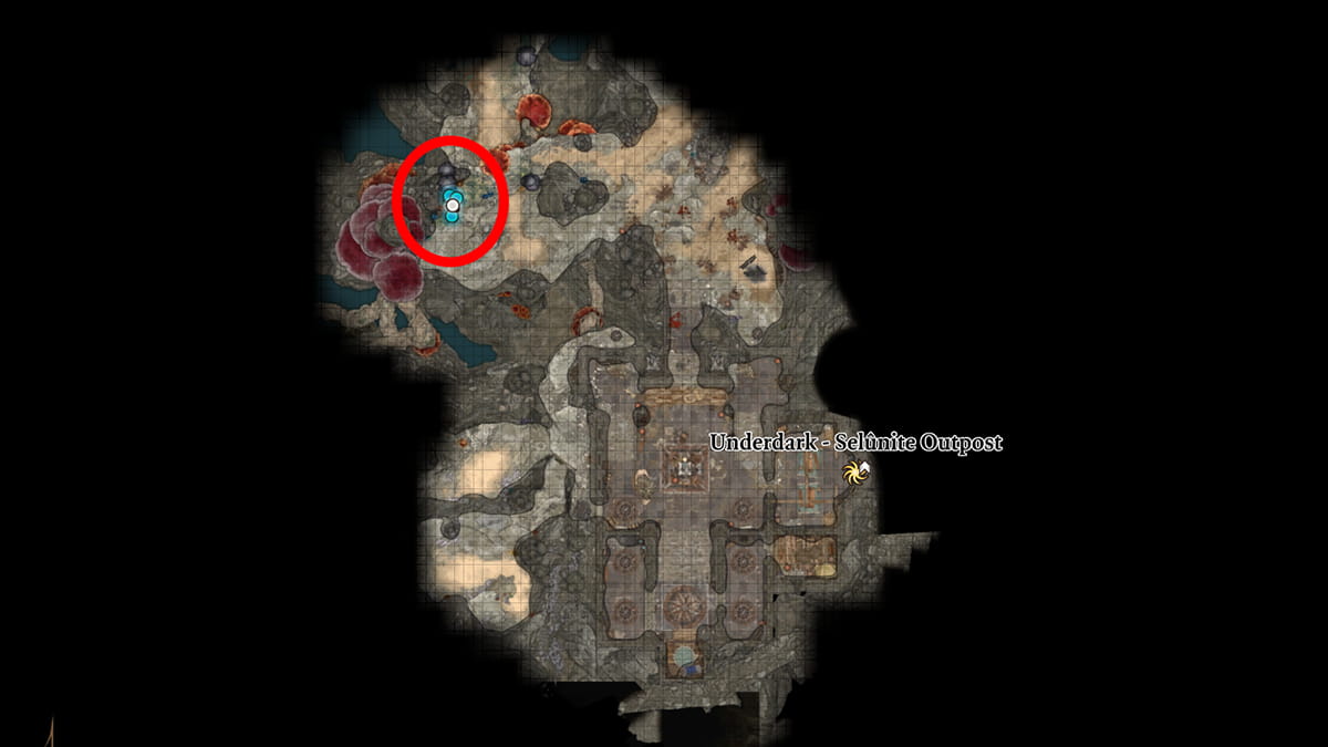 Baldur's Gate 3: How to Get the Phalar Aluve in BG3 - Prima Games