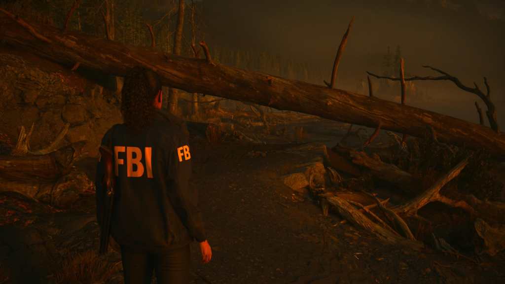 All Return 2: Heart Collectible Locations in Alan Wake 2 - Prima Games