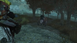 Where to Find Yao Guai Locations in Fallout 76 - Prima Games