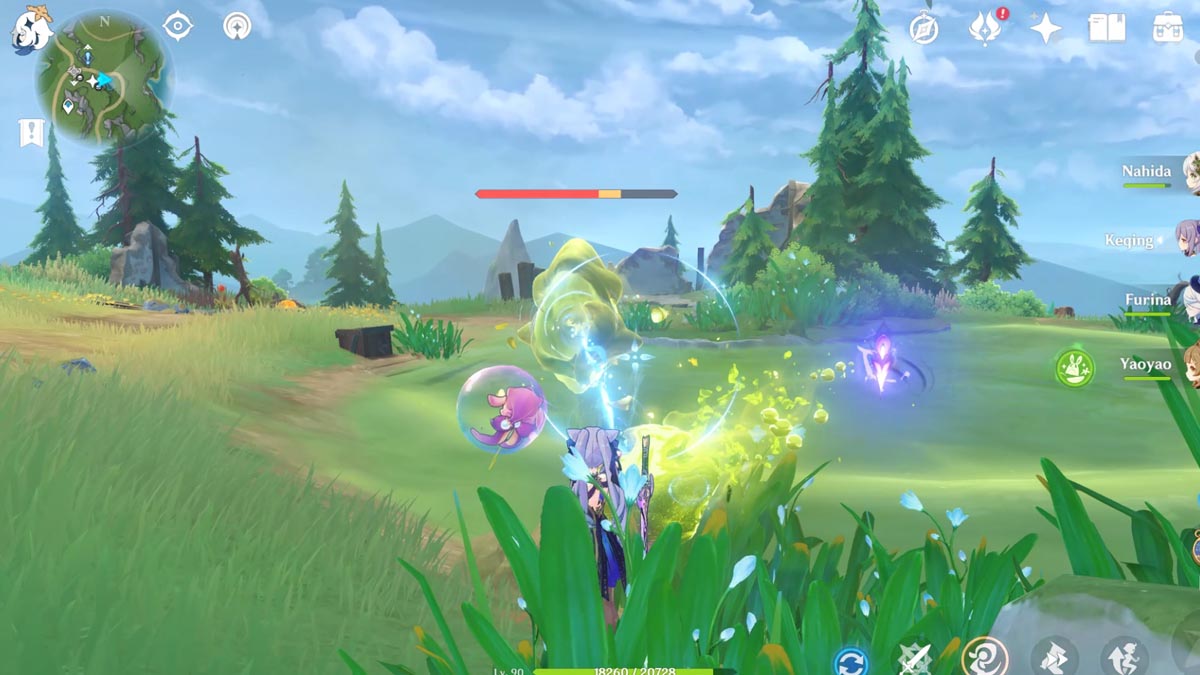 All Foggy Forest Branch Locations in Genshin Impact - Prima Games