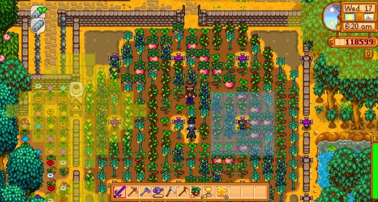 How to Get Carrot Seeds and Grow Carrots in Stardew Valley (1.6 Update ...