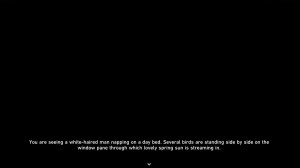 Honkai: Star Rail: How to Get All Divination Shop Achievements - Prima ...