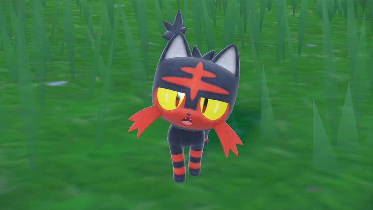 How to Catch Litten in Pokemon Scarlet & Violet: The Indigo Disk ...