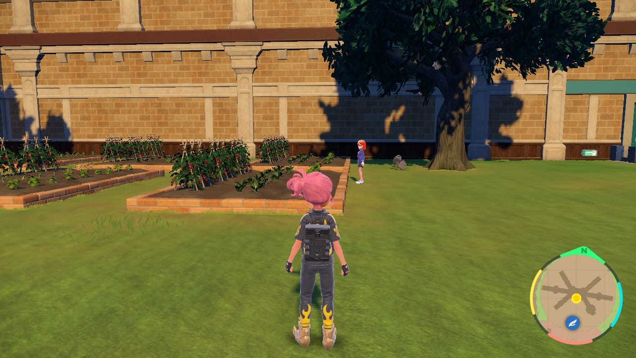 How to Complete the Team Star Tutor Quest in Pokemon Scarlet and Violet ...