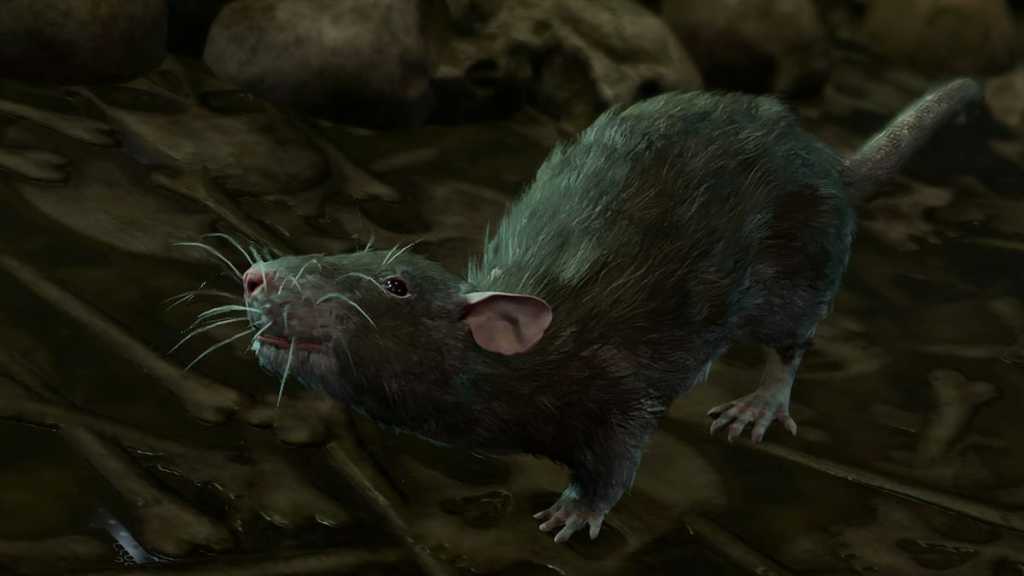 How to Find Sharran Provisions in Baldur's Gate 3 - Prima Games