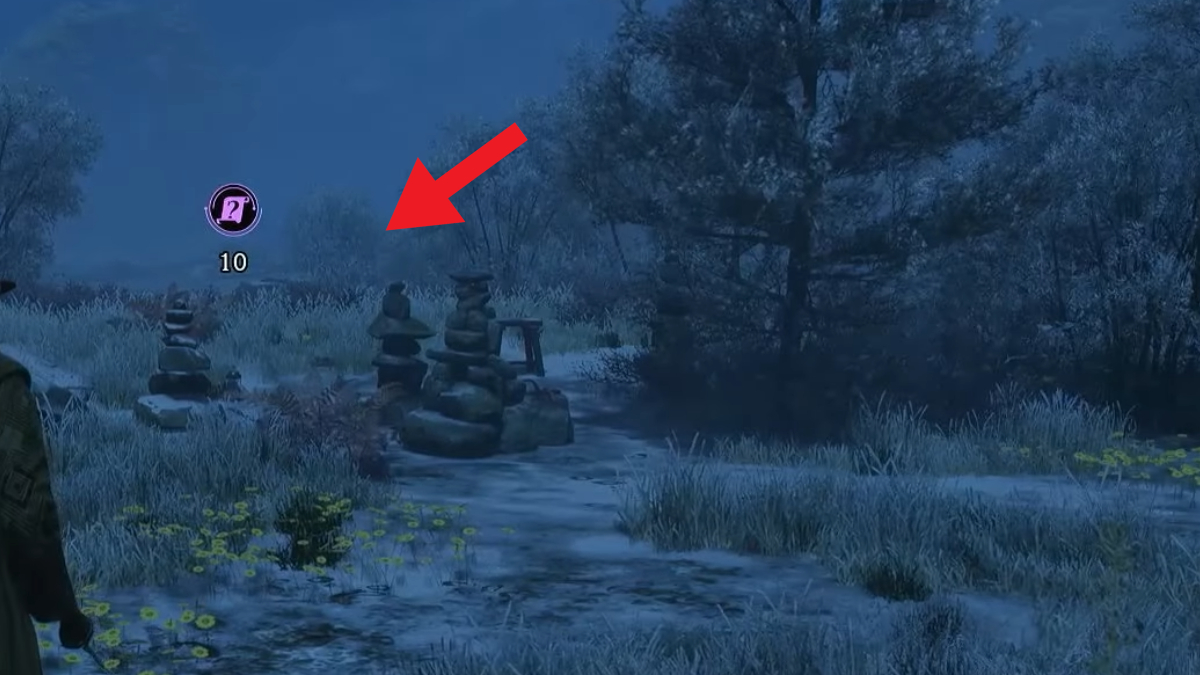 All 31 Highlands Field Guide Page Locations in Hogwarts Legacy - Prima ...