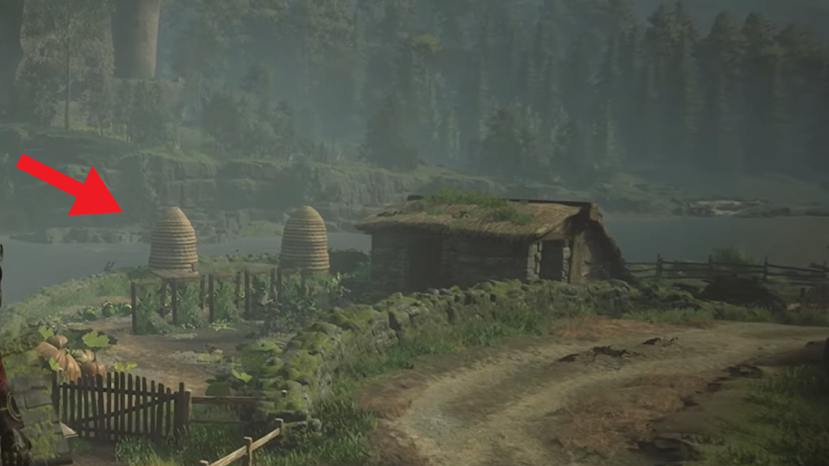 All 31 Highlands Field Guide Page Locations in Hogwarts Legacy - Prima ...