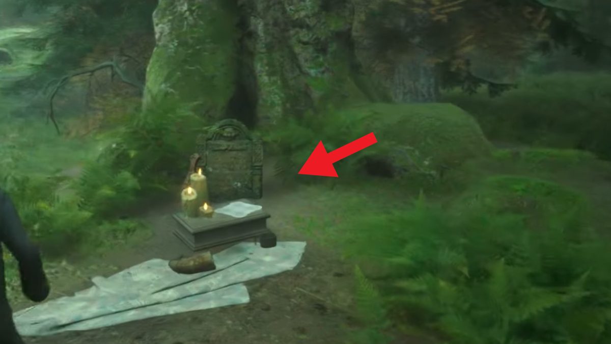 All 31 Highlands Field Guide Page Locations in Hogwarts Legacy - Prima ...