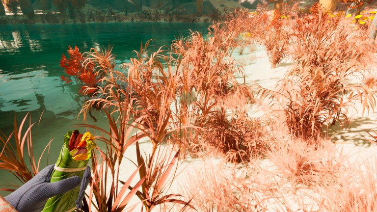 Where to Find Plant Fiber in the Desert in Nightingale - Prima Games