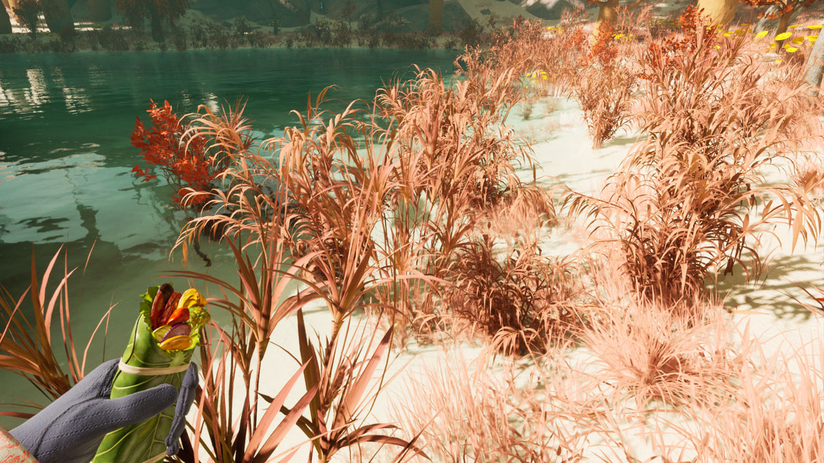 Where to Find Plant Fiber in the Desert in Nightingale - Prima Games