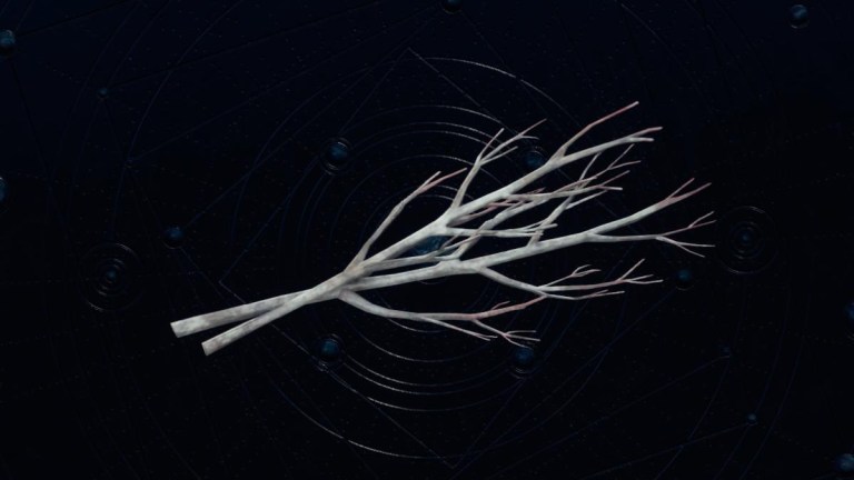 How to Get Condor Cedar in Final Fantasy 7 Rebirth (FF7) - Prima Games