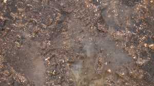 How to Make Mud in Infinite Craft - Prima Games