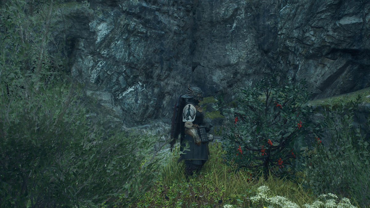 How to Get Fruit Roborant in Dragon's Dogma 2 (& How to Craft It ...