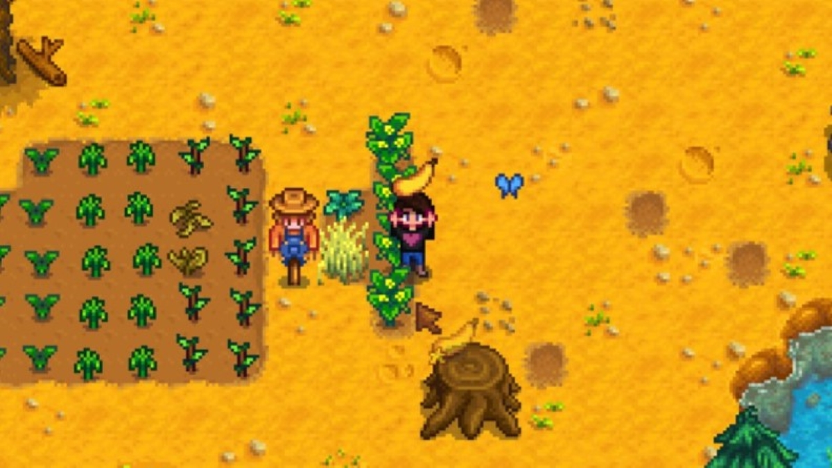 How to Grow Summer Squash in Stardew Valley (1.6 Update) - Prima Games
