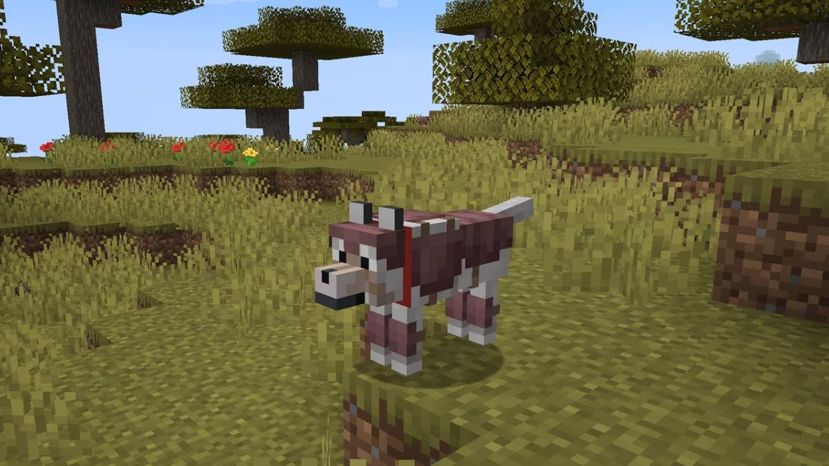 How to Find Armadillos Fast in Minecraft - Prima Games