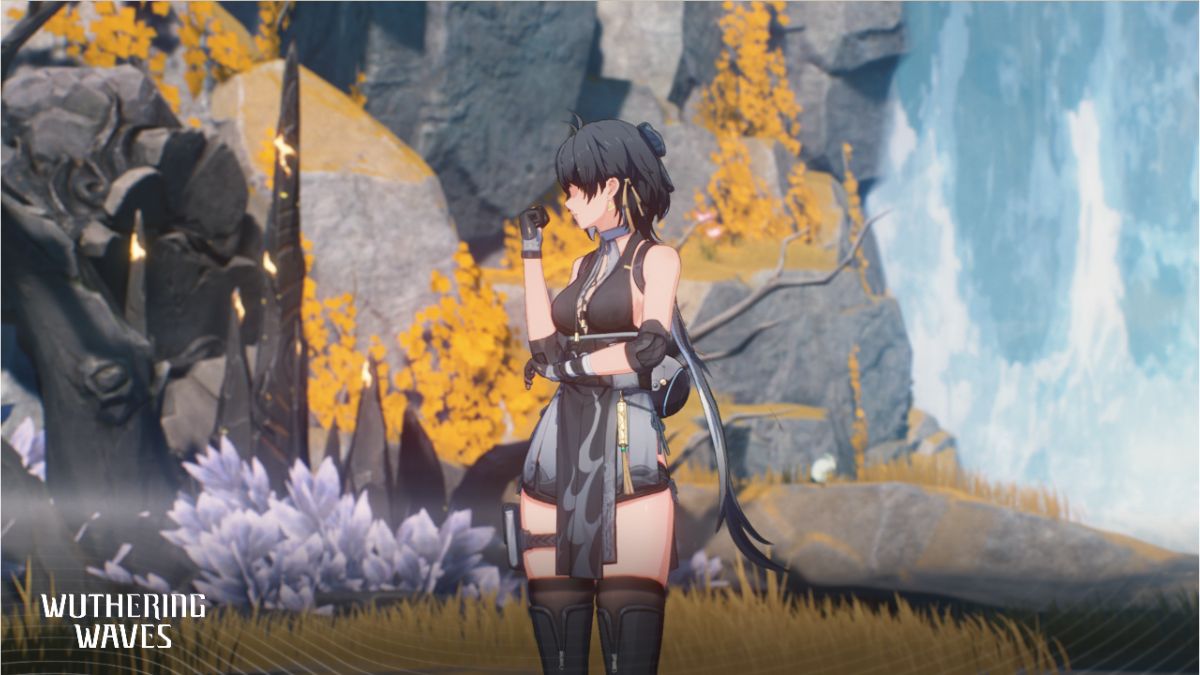 Wuthering Waves Photo Mode Screenshots Location on PC