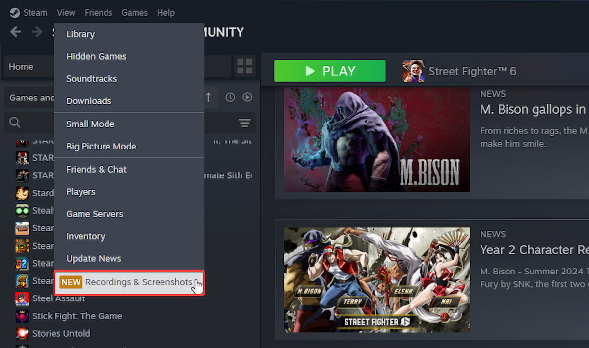 How to Use the Steam Game Recording Feature on PC