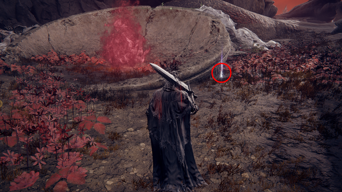 How to Unlock Dragon Form in Elden Ring Shadow of the Erdtree DLC ...