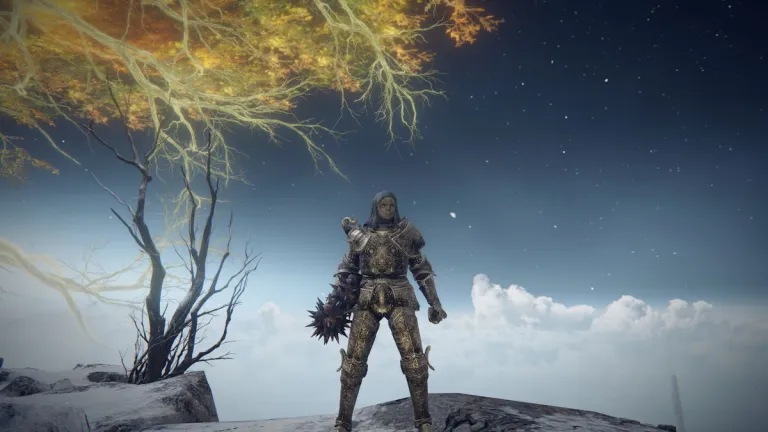 Best Star Fist Build in Elden Ring