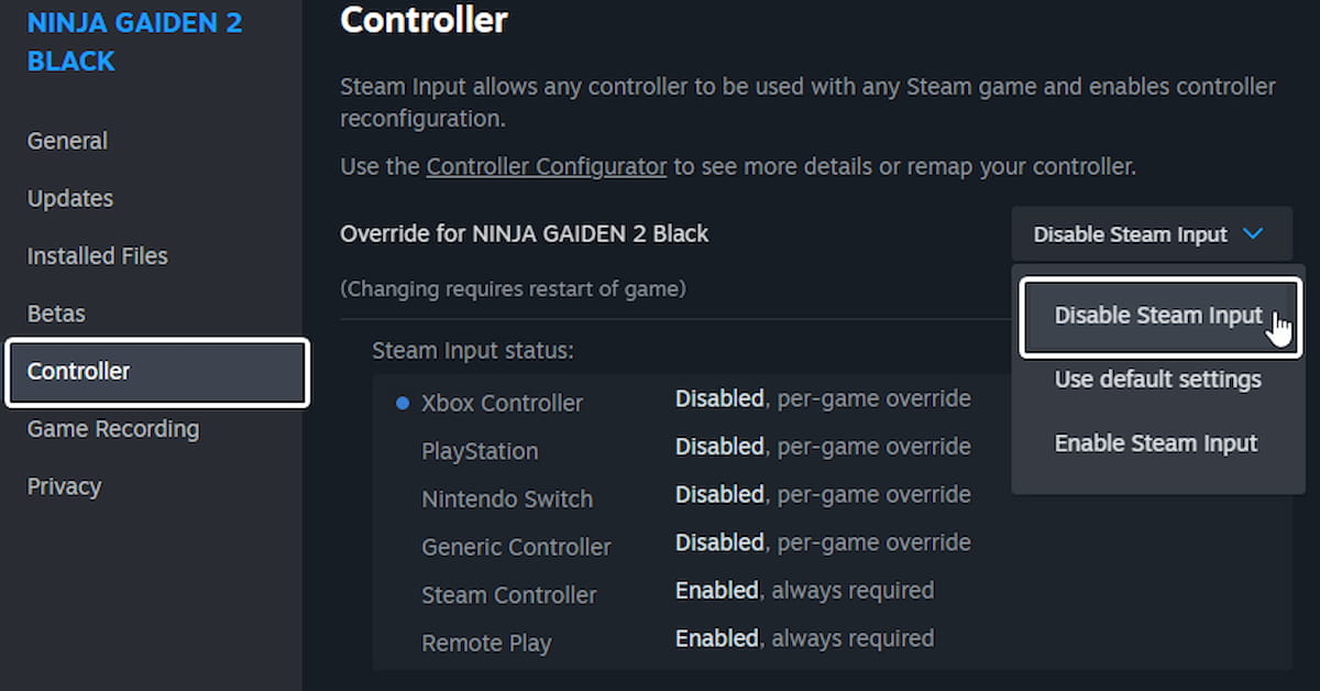 Ninja Gaiden 2 Black Complete Controls for PC and Controller