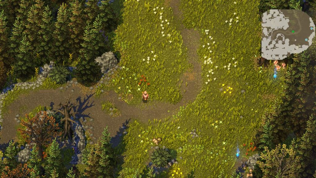 How To Enable the Minimap in Heroes of Hammerwatch 2
