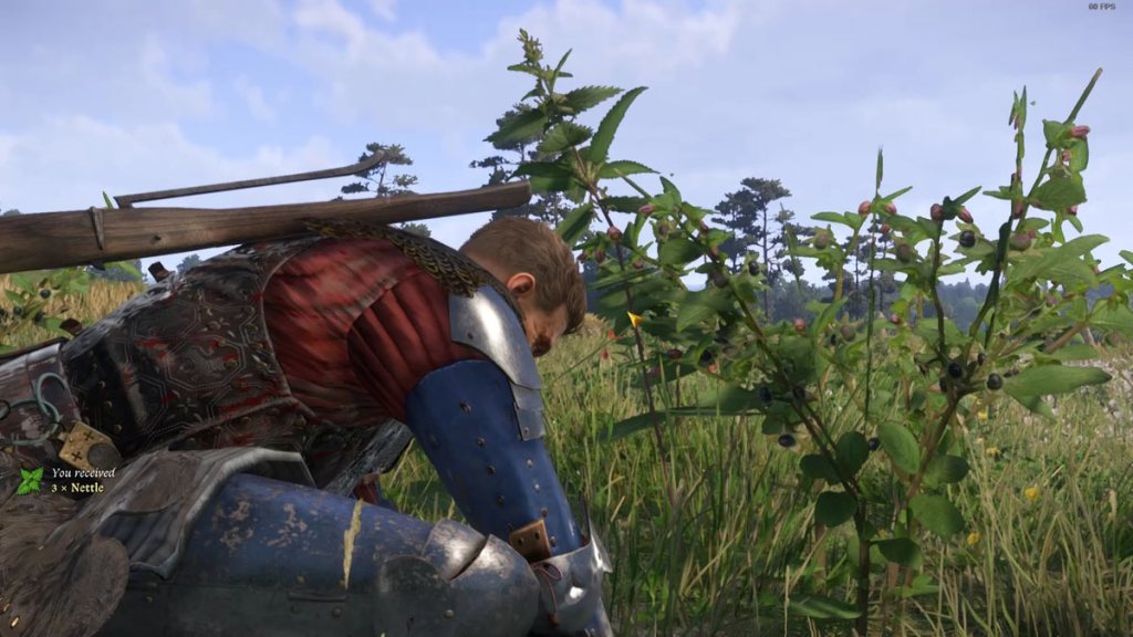 How to Get Belladonna in Kingdom Come Deliverance 2? - Prima Games