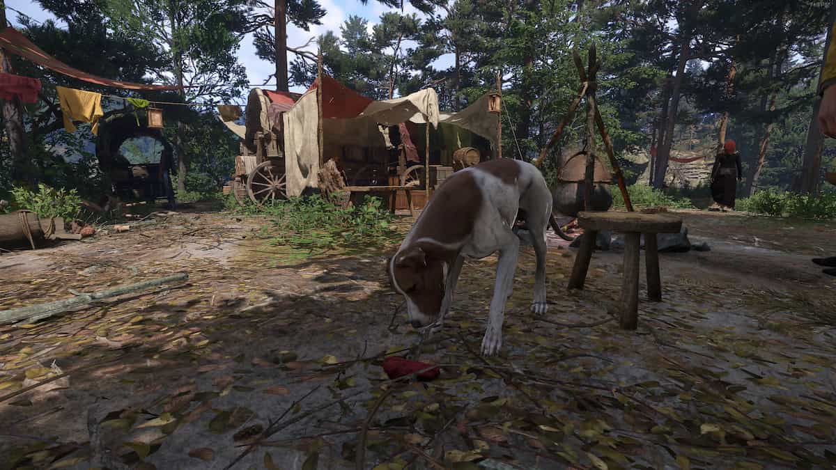 Is Mutt Worth Saving in Kingdom Come Deliverance 2? – Answered