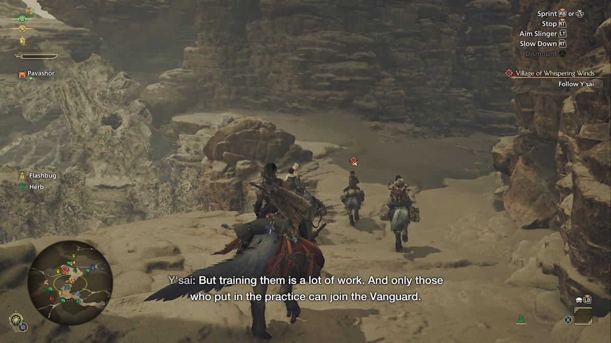 How to Get and Customize Seikret in Monster Hunter Wilds - Prima Games