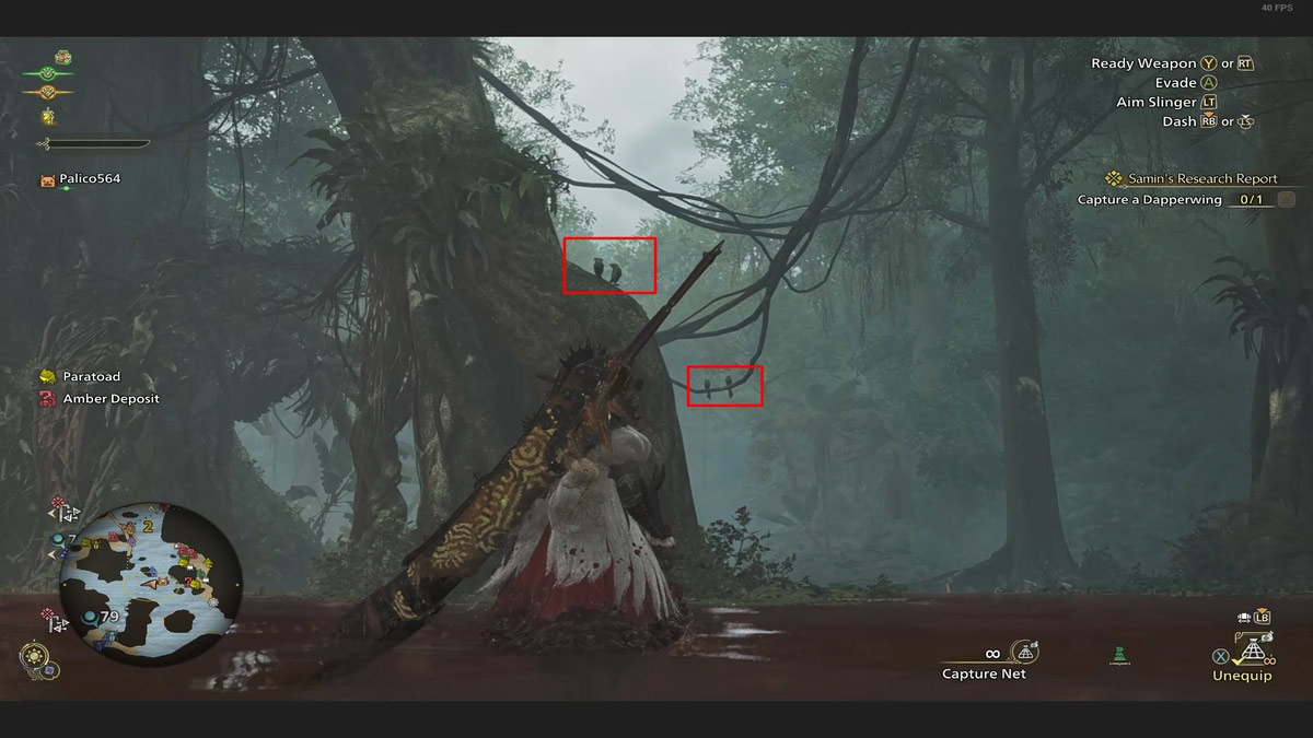 Where to Find the Dapperwing in Monster Hunter Wilds? - Prima Games