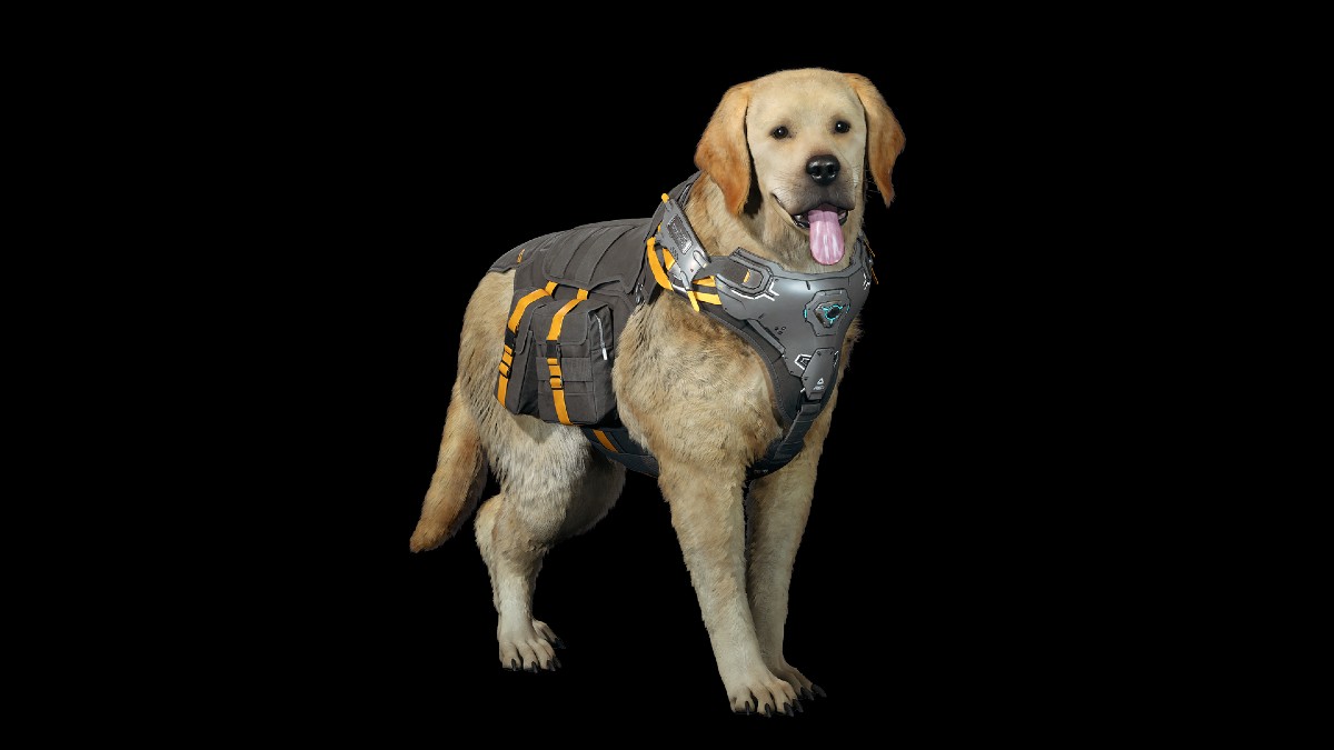 How to Get Vespers Hunting Dog in The First Descendant - Prima Games