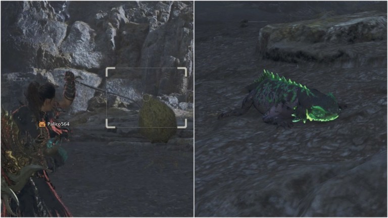 Where to Find the Ember Rufflizard in Monster Hunter Wilds? - Prima Games