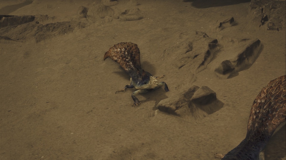 How to Find and Capture Tracktail Lizards in Monster Hunter Wilds ...