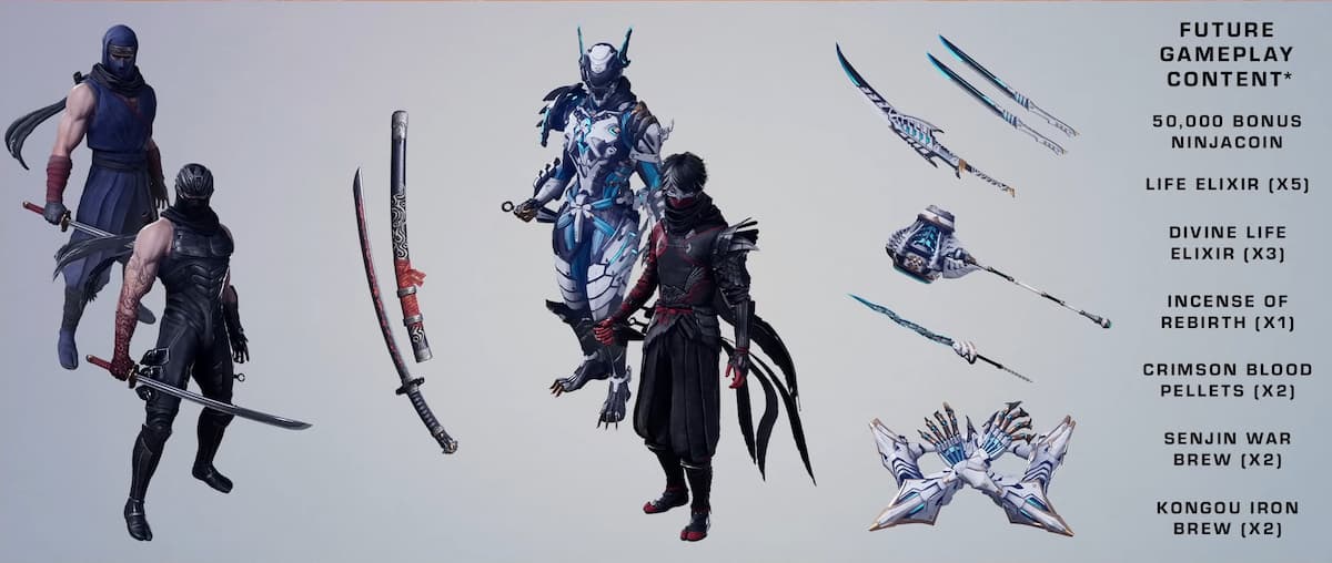 Image via Team Ninja