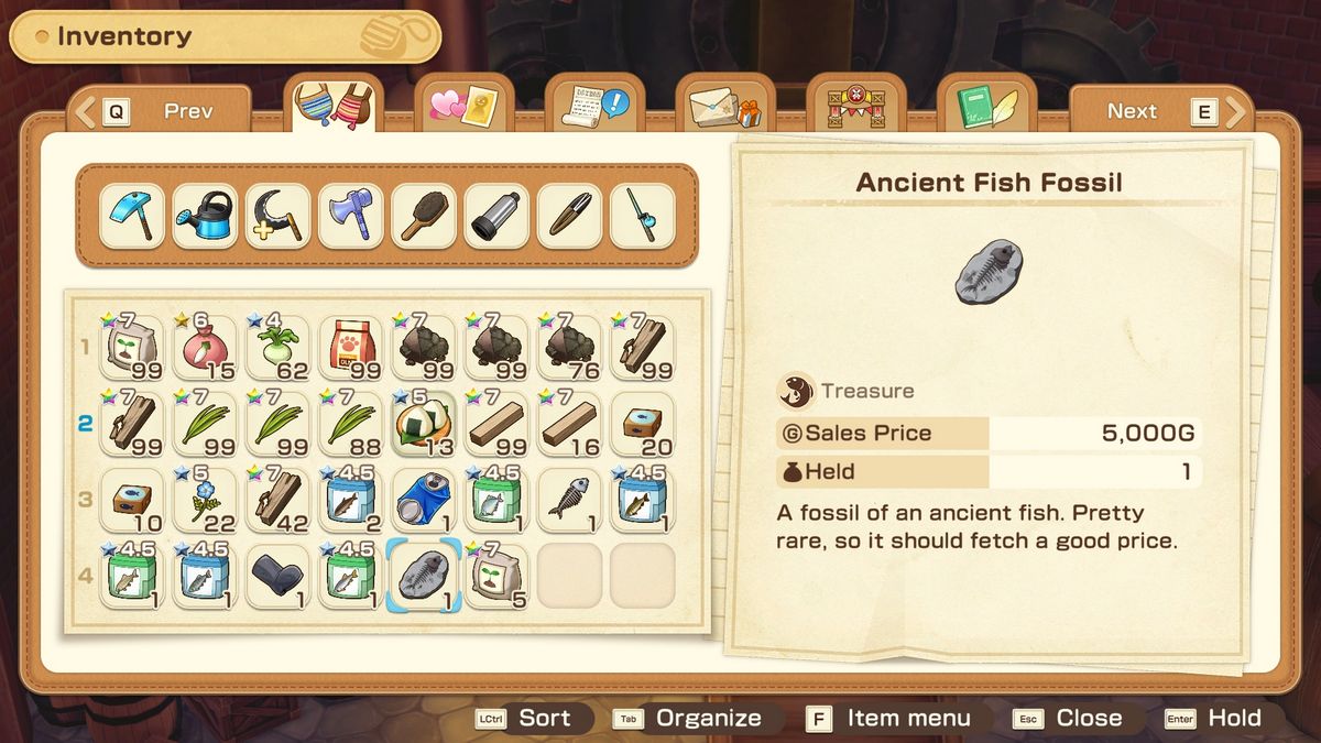 How to Get Ancient Fish Fossils in Story of Seasons Grand Bazaar ...