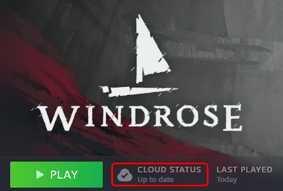 Can You Play Windrose Offline? Answered