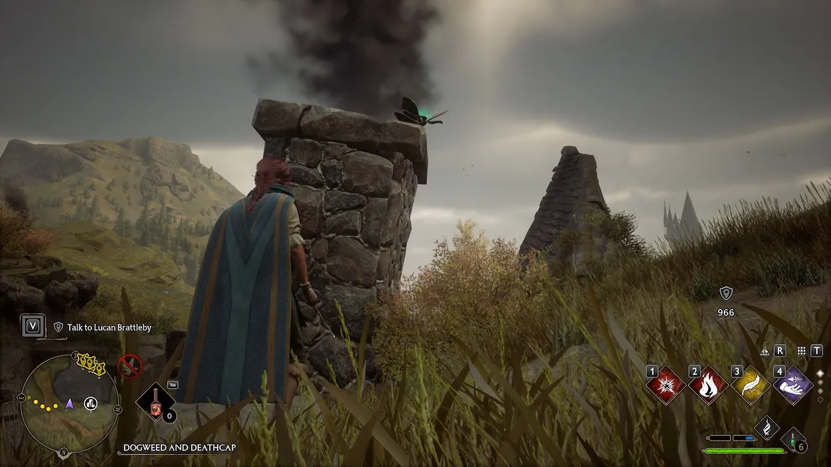 The northmost point of Hogsmeade has a plant shop called Dogweed and ...