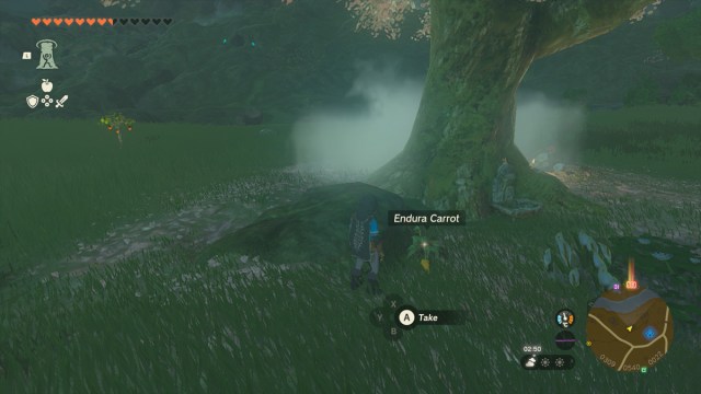 Tears Of The Kingdom Endura Carrots Location 2