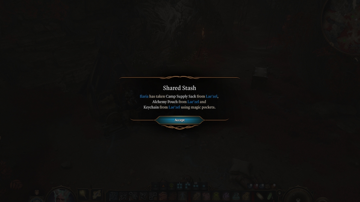How Shared Stash Works Baldurs Gate 3